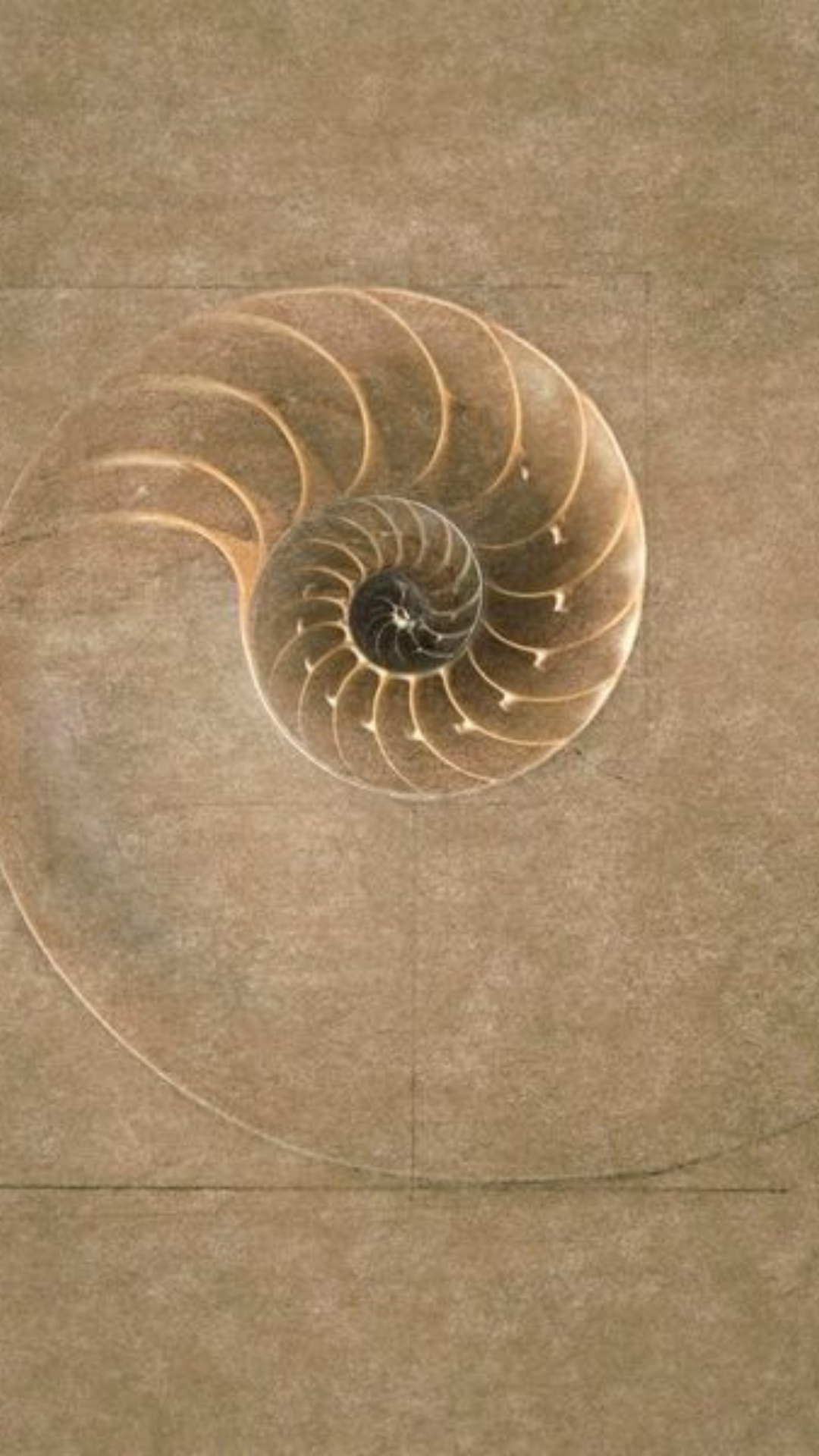 The golden section – Le Sundial S.r.l